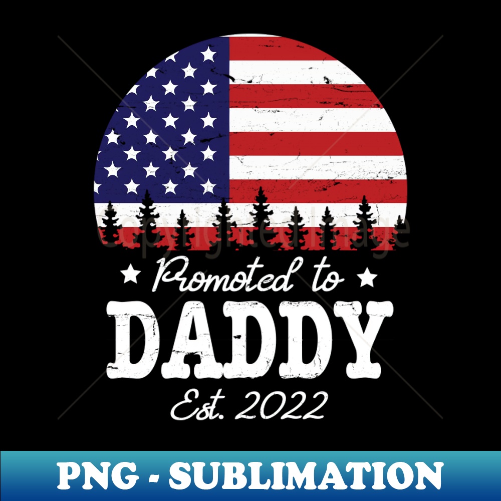 US Flag American Promoted To Daddy Est 2022 Happy Father Dad | Inspire ...