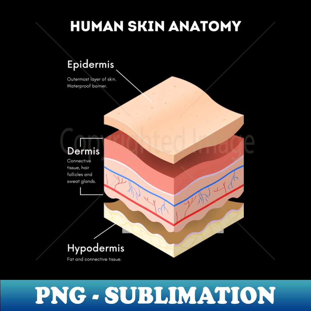 Funny human anatomy and physiology Skin - Digital Sublimati | Inspire ...