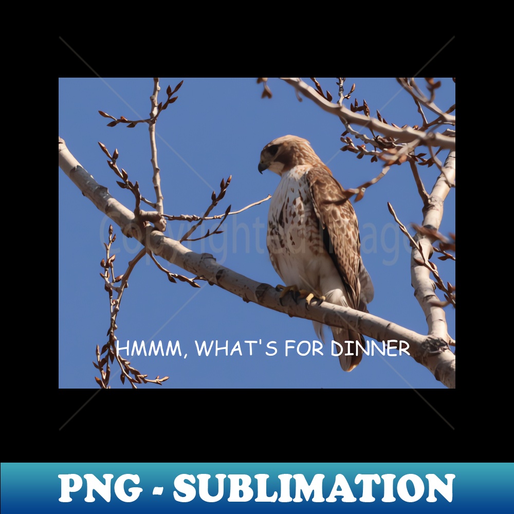 HUNGRY HAWK - Professional Sublimation Digital Download - Vi | Inspire Uplift