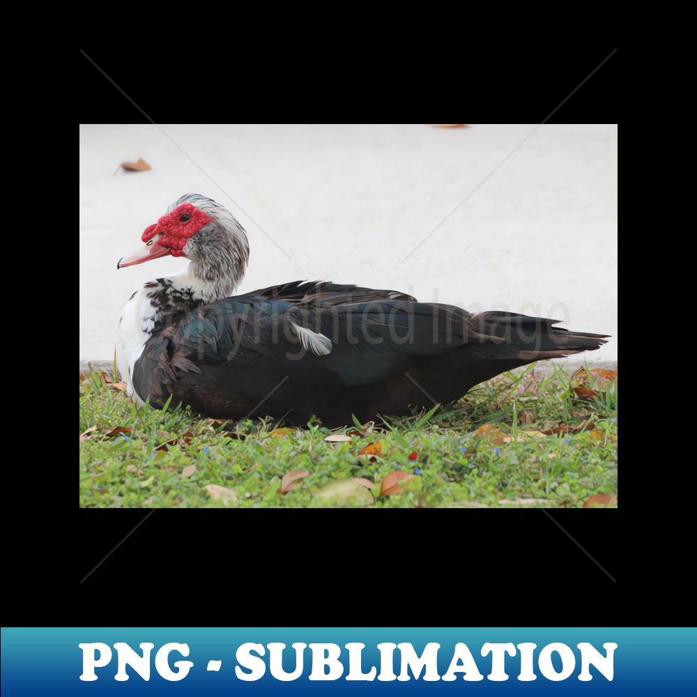Not The Most Beautiful Duck - Unique Sublimation PNG Downloa | Inspire ...