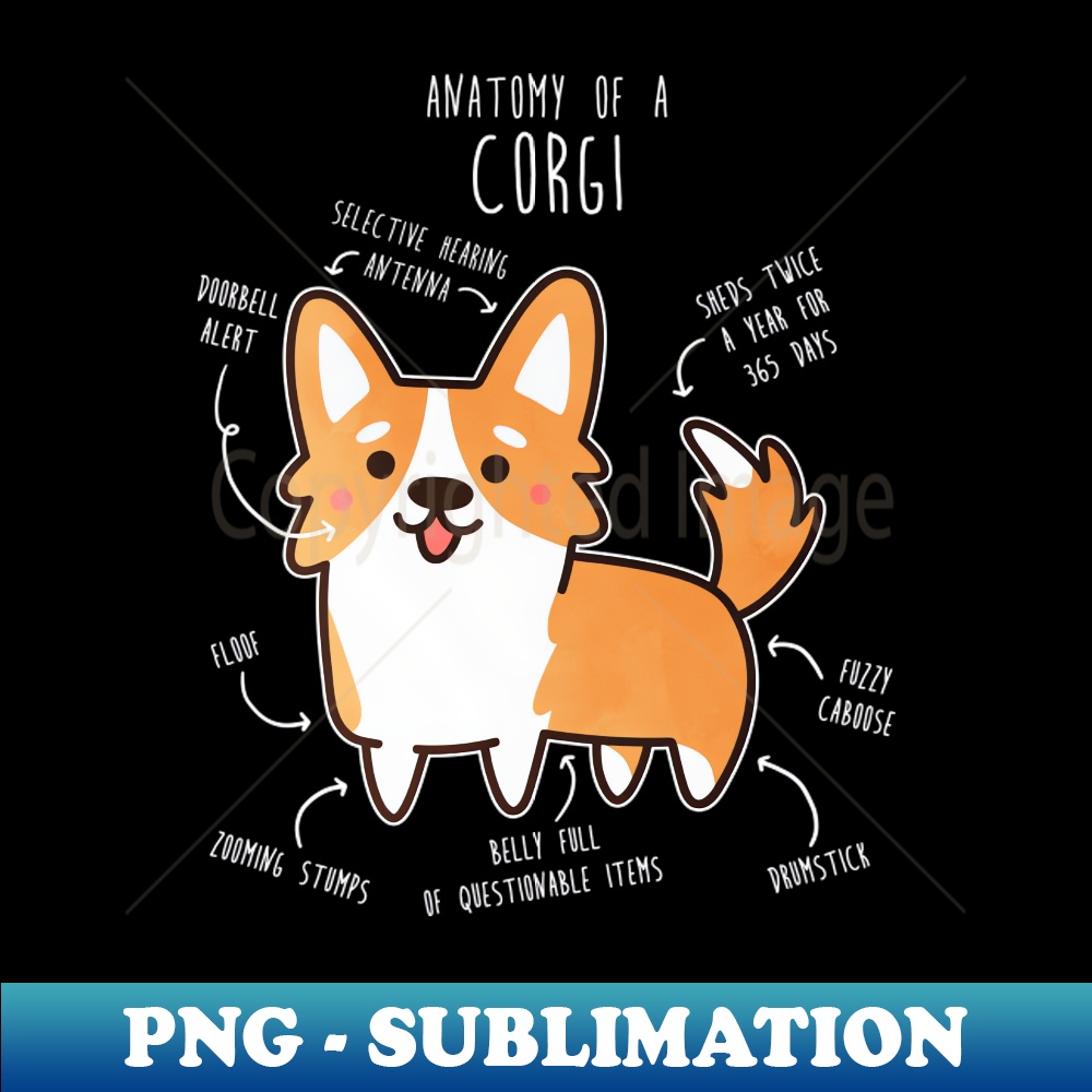 Corgi Red Dog Anatomy - Stylish Sublimation Digital Download | Inspire ...