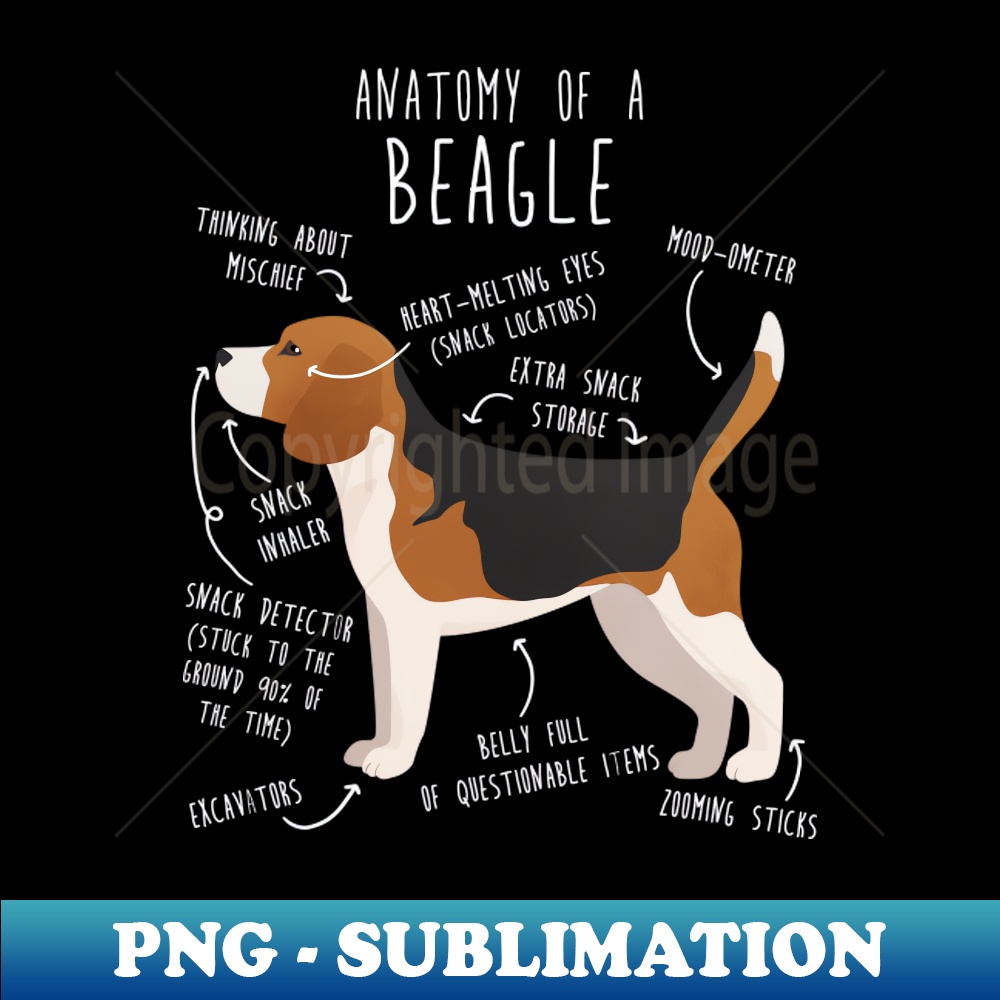 Beagle Dog Anatomy - Instant PNG Sublimation Download | Inspire Uplift
