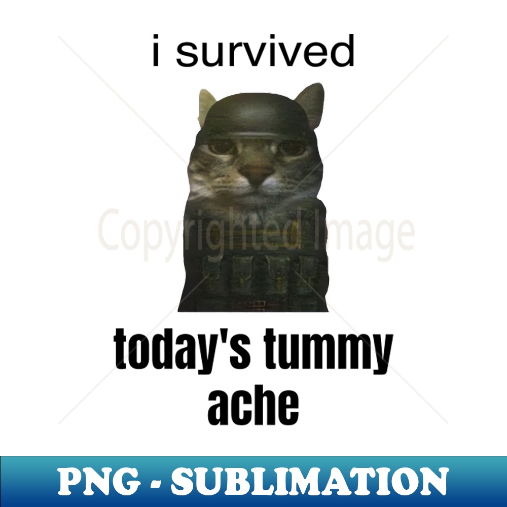 I Survived Today's Tummy Ache Funny Army Cat Tummy Ache Meme | Inspire ...