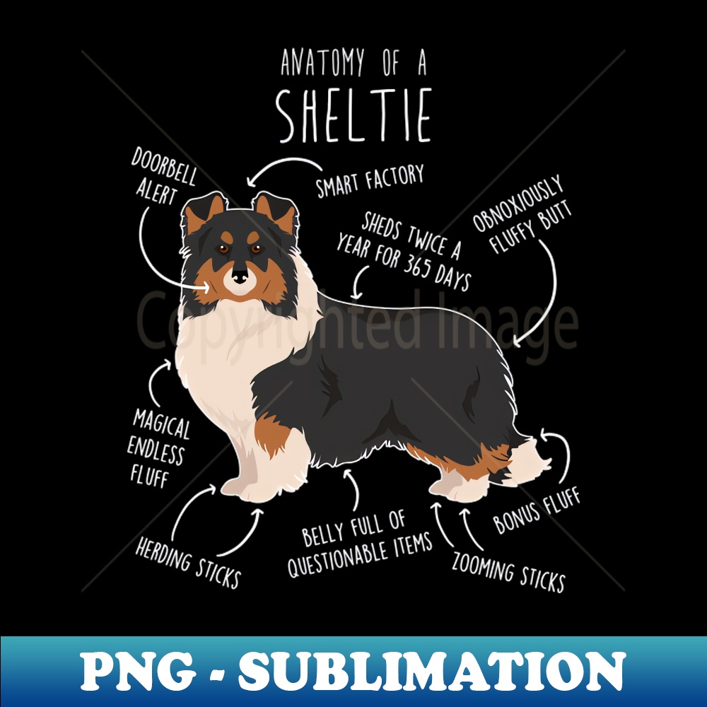 Tri Color Sheltie Shetland Sheepdog Anatomy - Instant PNG Su | Inspire ...