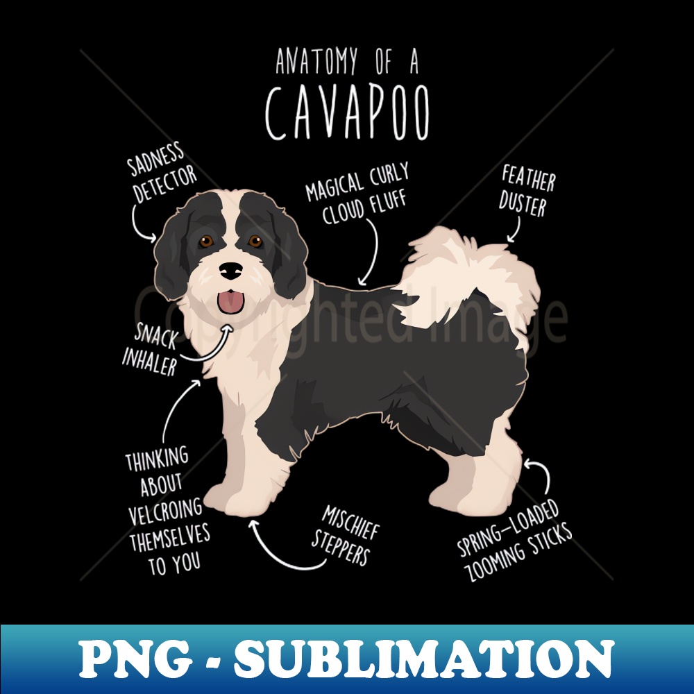 Parti Cavapoo Dog Anatomy - PNG Sublimation Digital Download | Inspire ...
