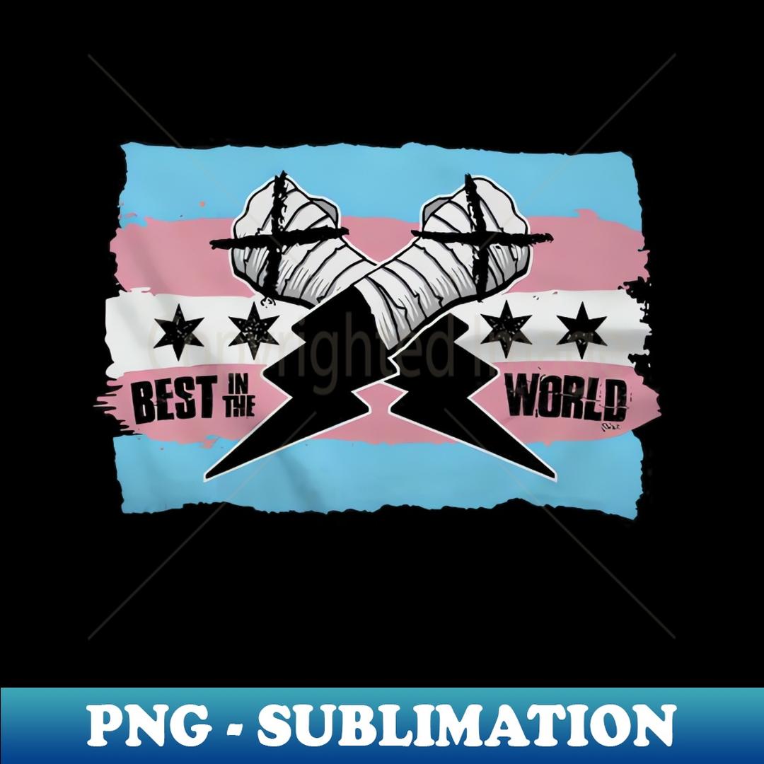 CM Punk Best In The World Trans Pride - Decorative Sublimati | Inspire ...