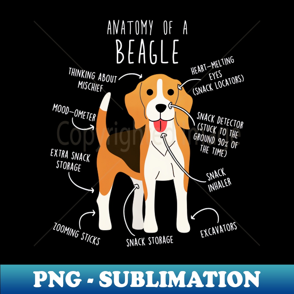 Beagle Dog Anatomy - Professional Sublimation Digital Downlo | Inspire ...