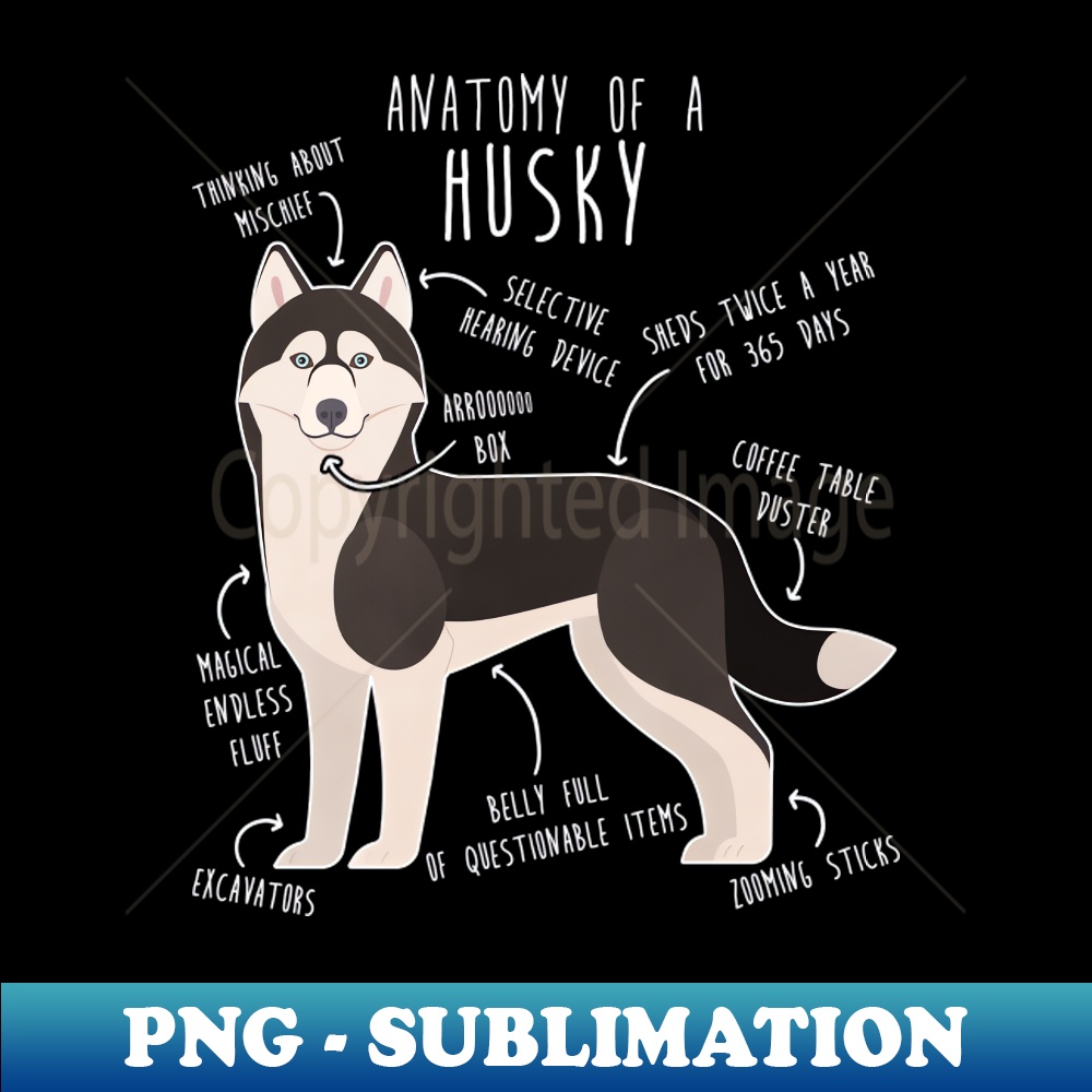 Black and White Siberian Husky Dog Anatomy - Aesthetic Subli | Inspire ...