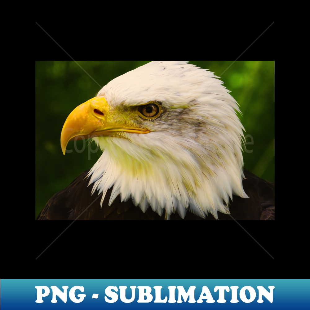 Bald Eagle Vivid - Premium Sublimation Digital Download | Inspire Uplift