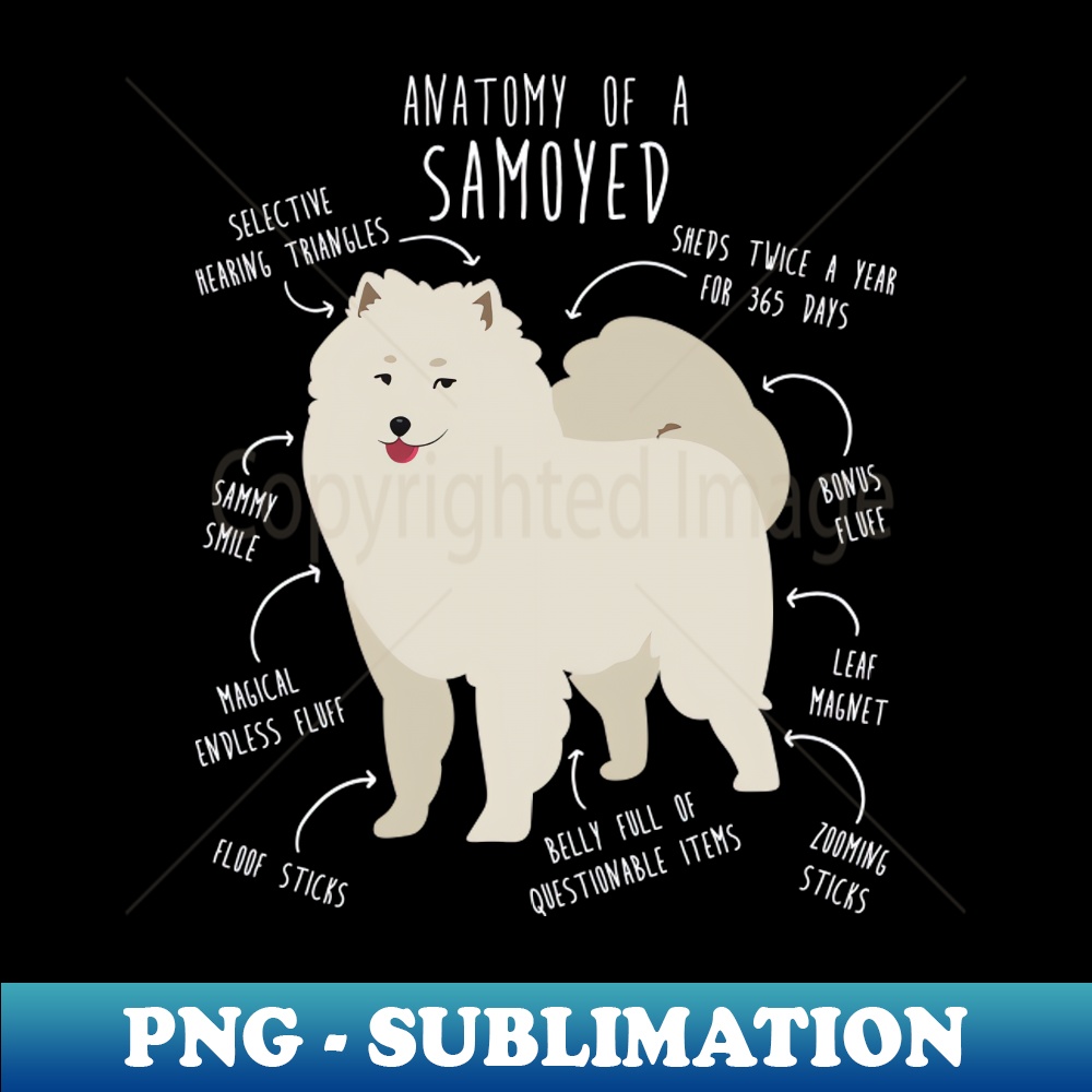 Samoyed Dog Anatomy - Instant Sublimation Digital Download | Inspire Uplift