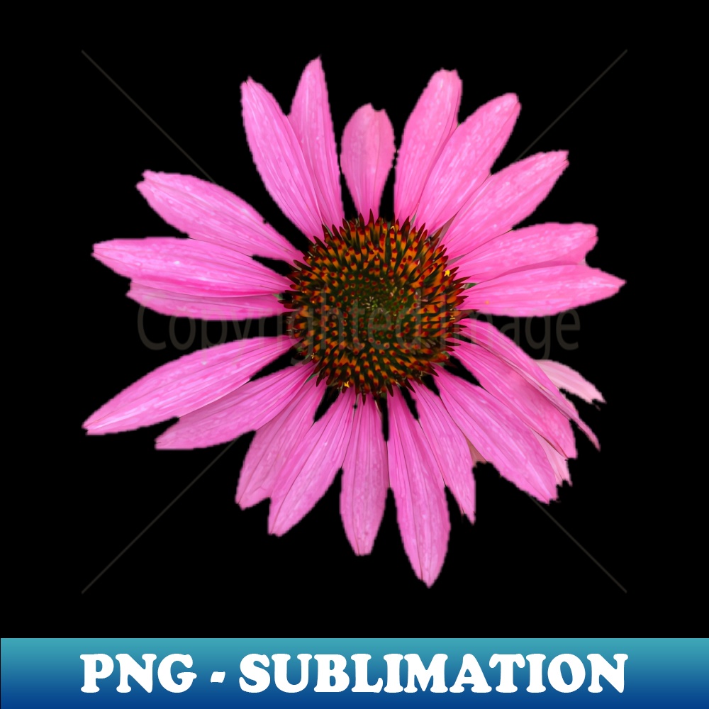 Purple Cone Flower - PNG Transparent Sublimation Design | Inspire Uplift
