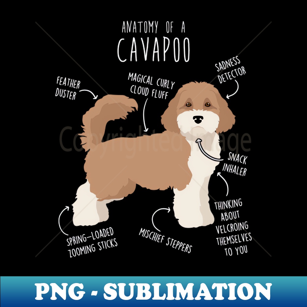 Parti Cavapoo Dog Anatomy - Premium Sublimation Digital Down | Inspire ...