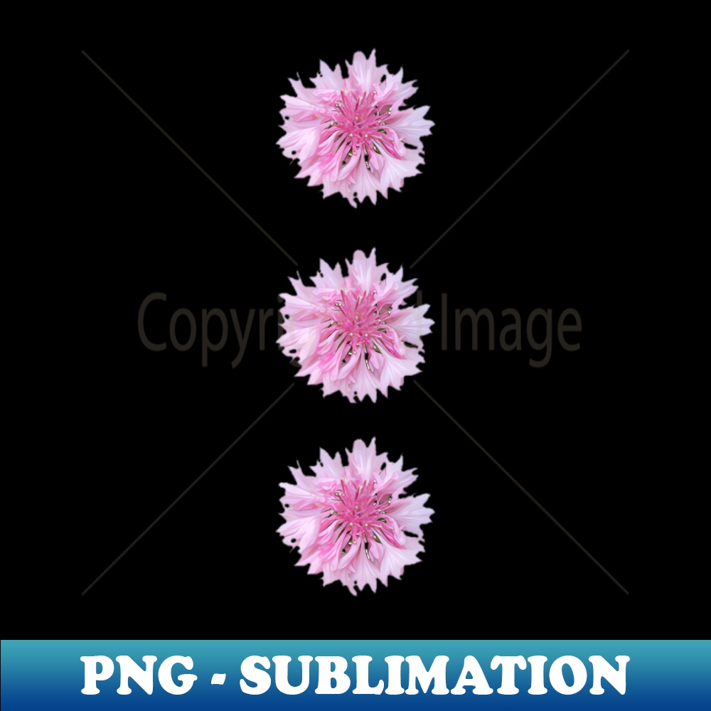 Pink Bachelor Buttons - Special Edition Sublimation PNG File | Inspire ...