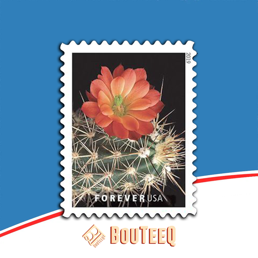 Cactus Flowers 2019 USPS Stamps – All Brand New Forever Stam | Inspire ...