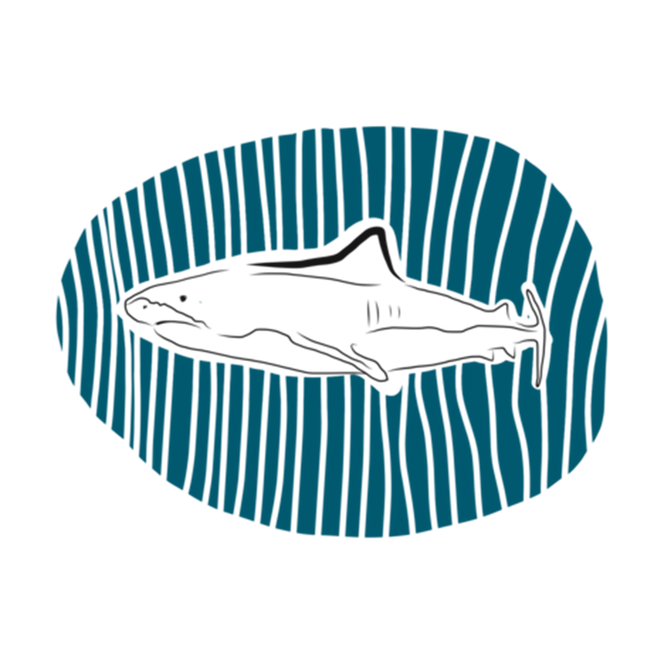 Shark lovers minimalist design shark lines | Inspire Uplift