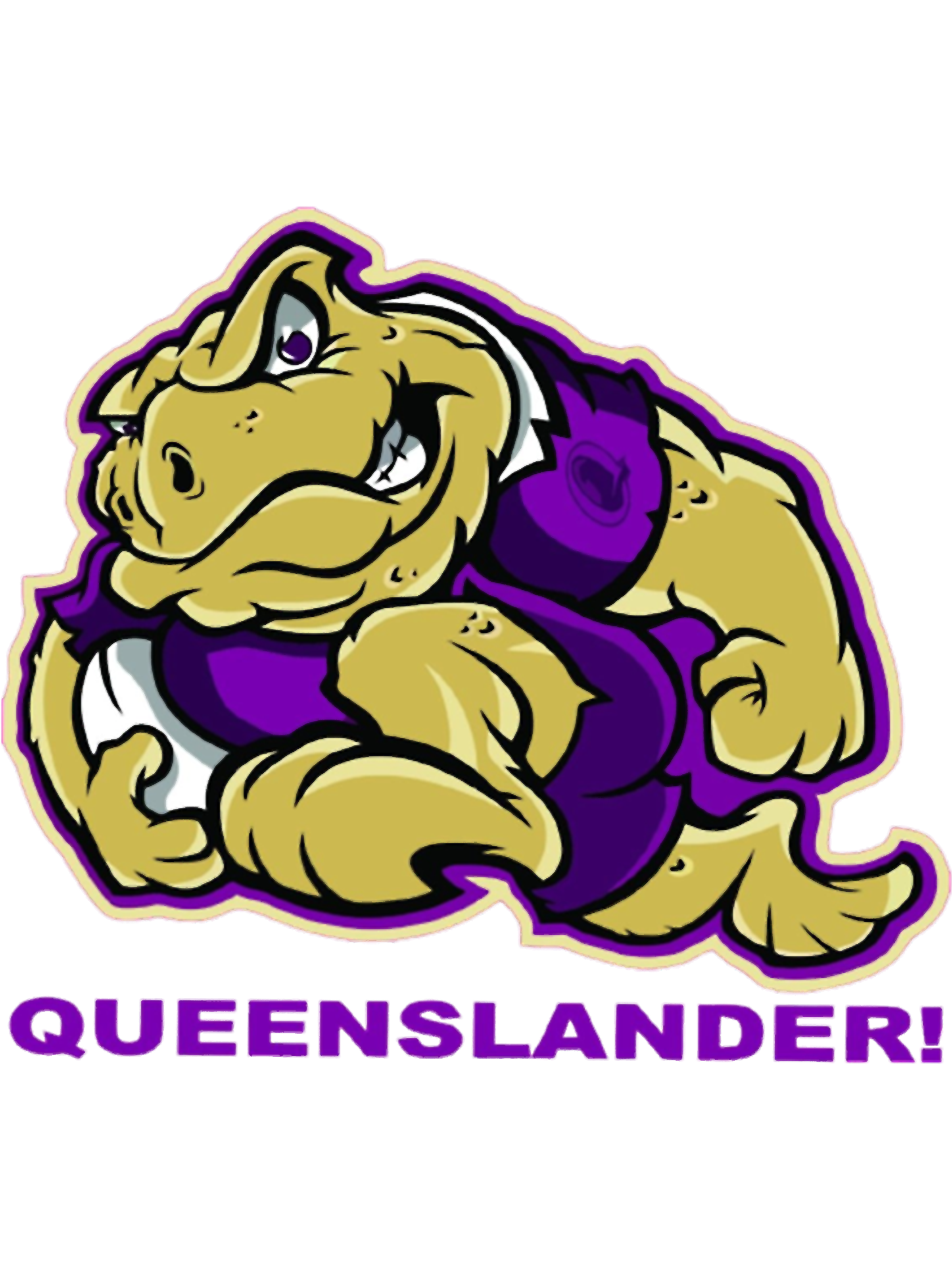 queensland maroons | Inspire Uplift