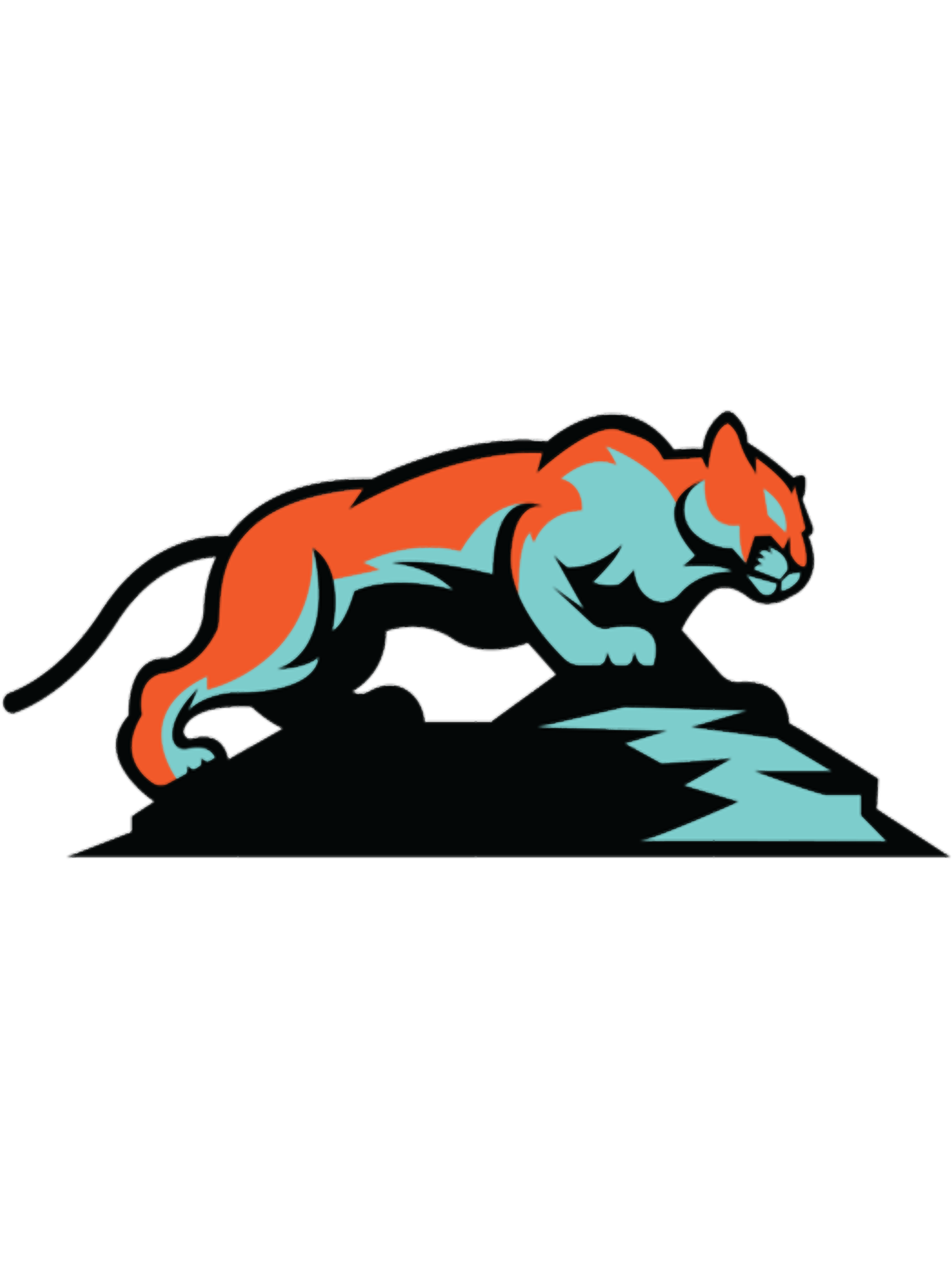 Puma Big Mountain Lion | Inspire Uplift