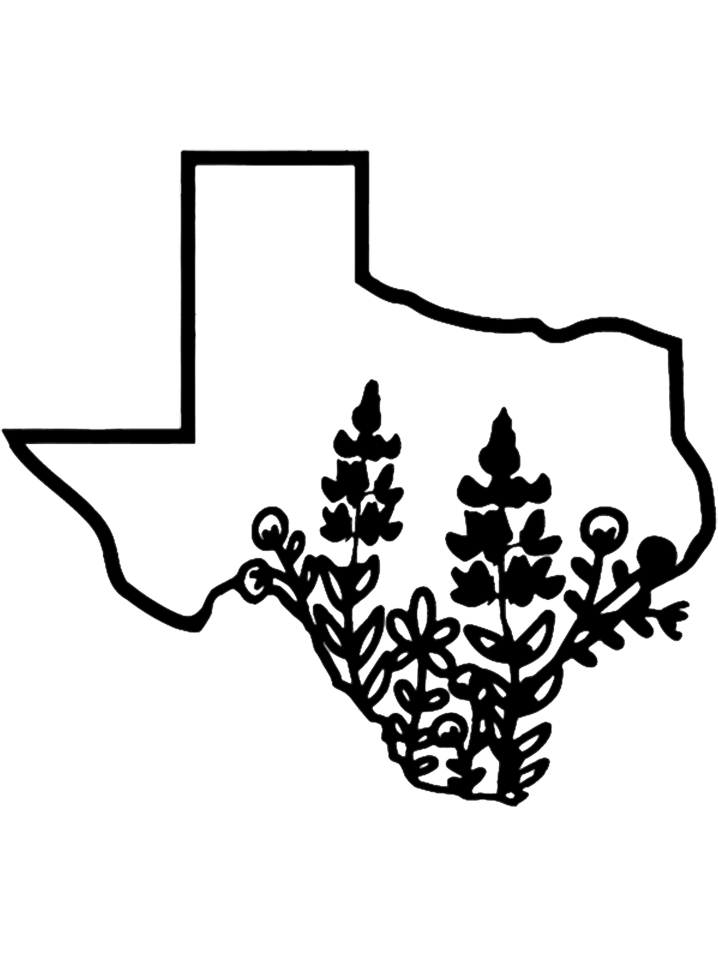 texas bluebonnets svg - Inspire Uplift