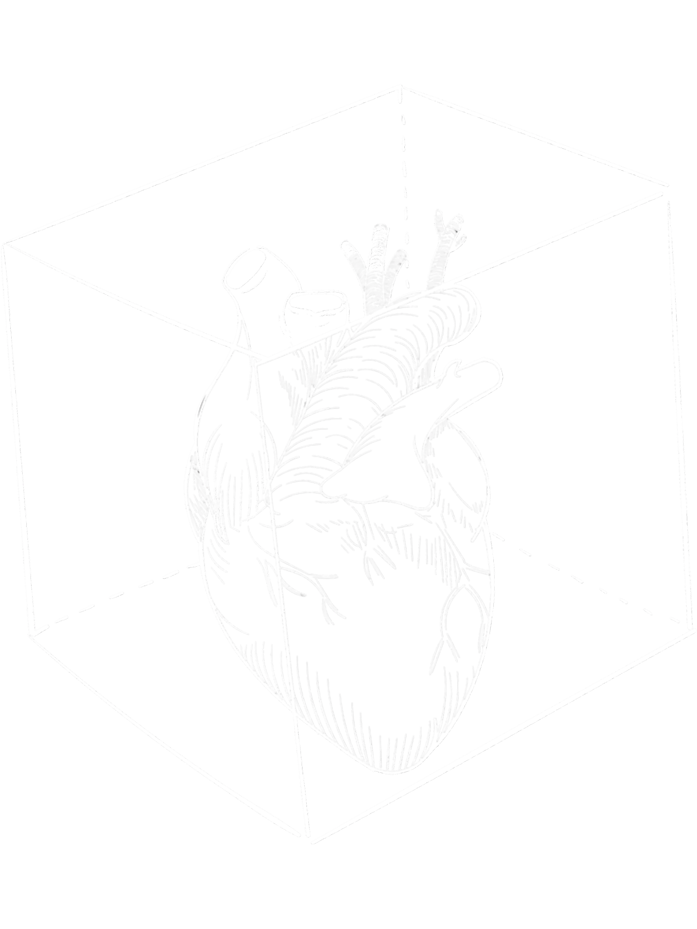 Heart Stopper 2 (3) | Inspire Uplift