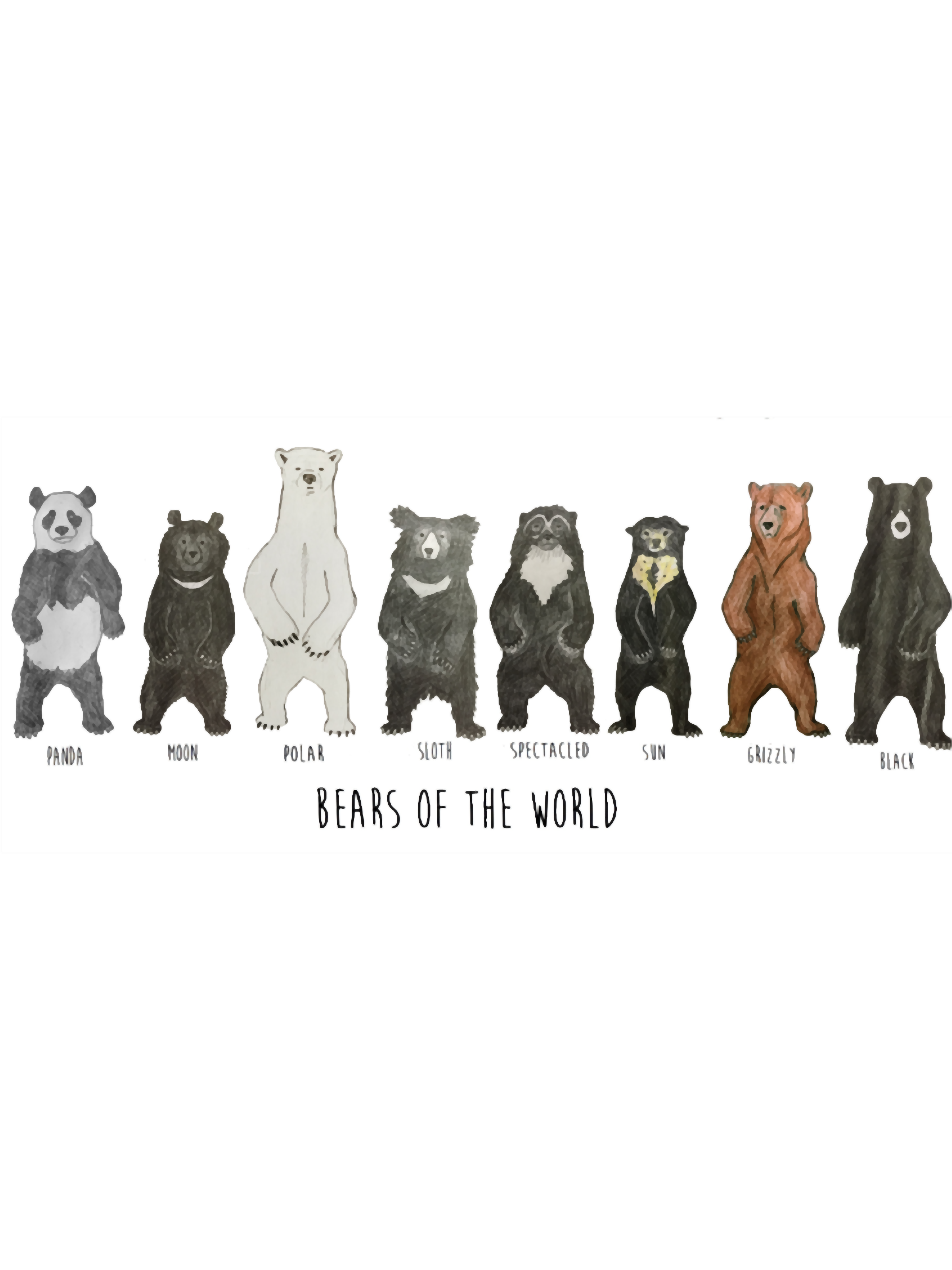 Bears of the World | Inspire Uplift
