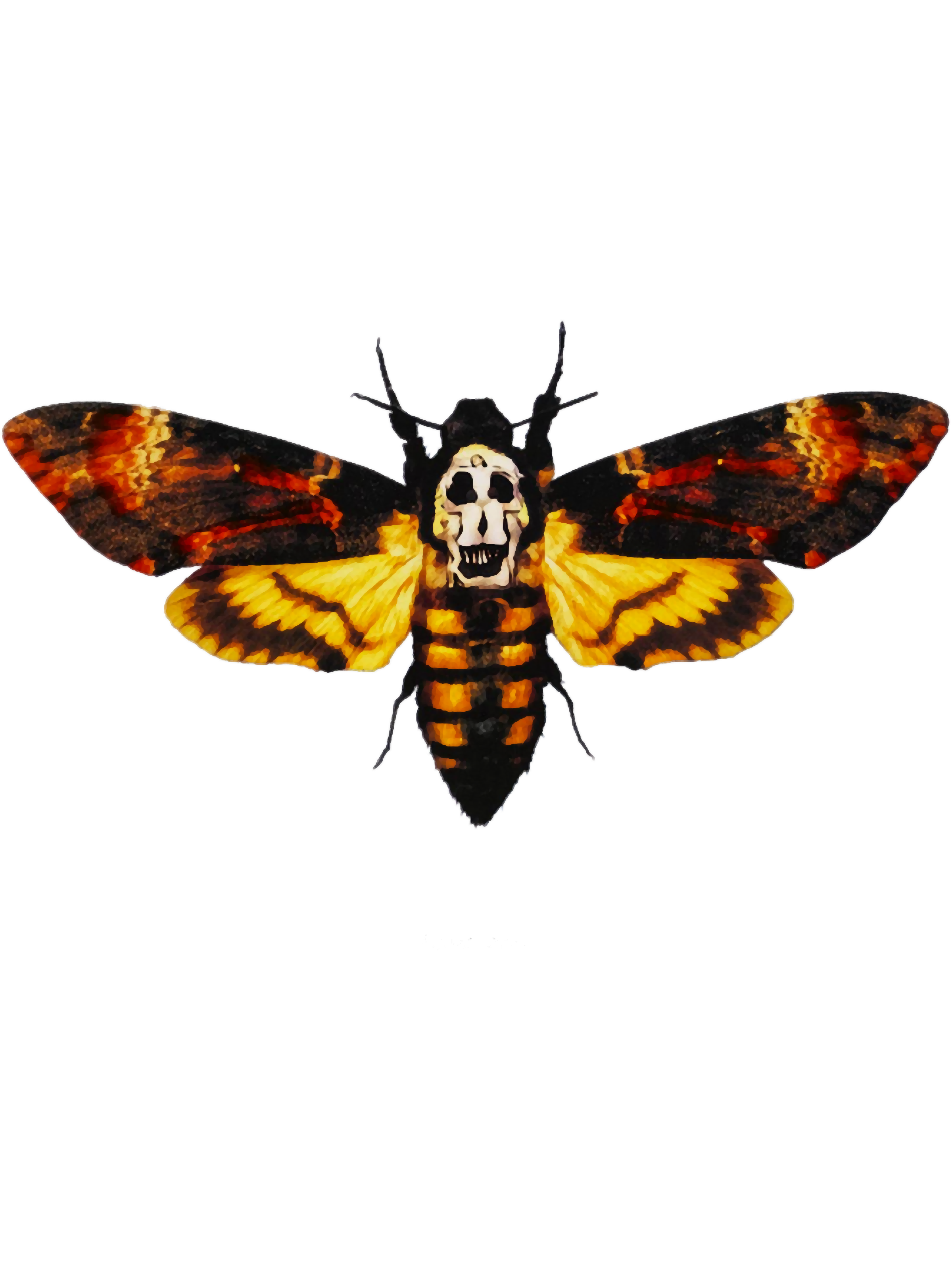 The silence of the lambs butterfly | Inspire Uplift