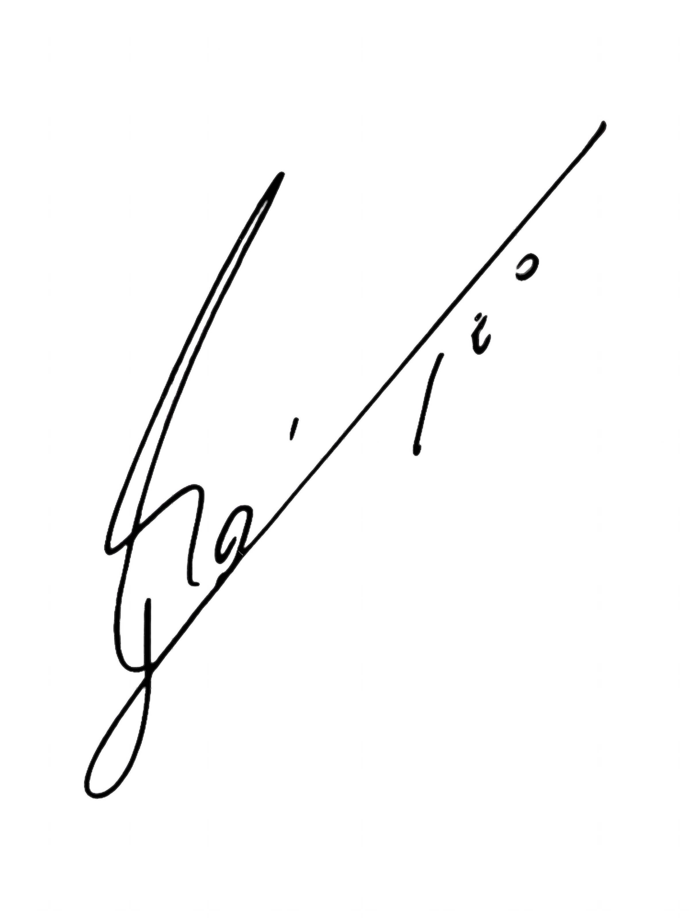 Lionel MessiOriginal Signature World Cup 2022 Legend MESSI A - Inspire ...