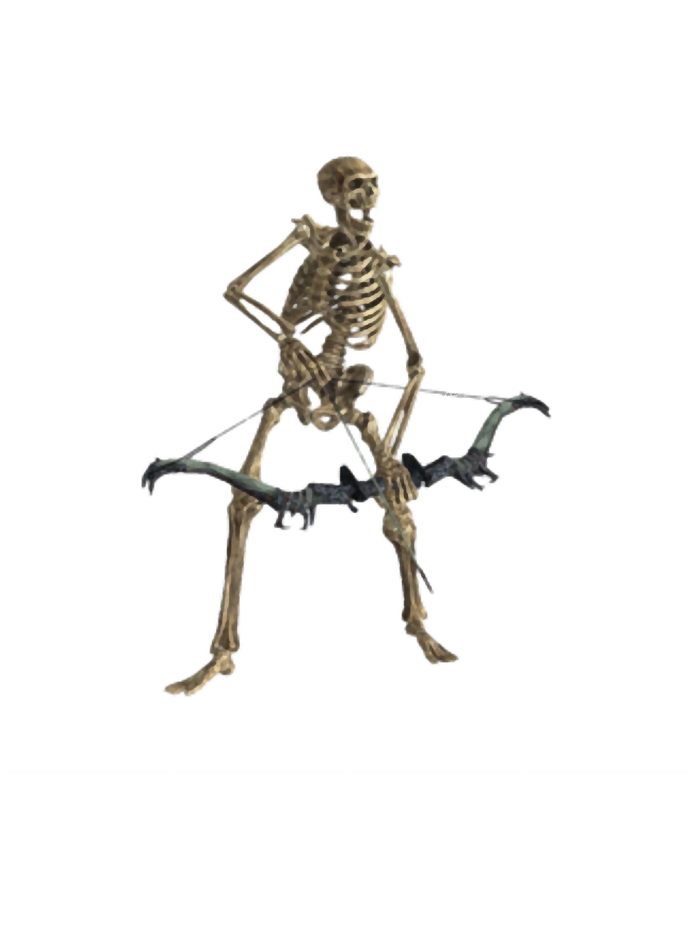 Skyrim Skeleton Archer | Inspire Uplift