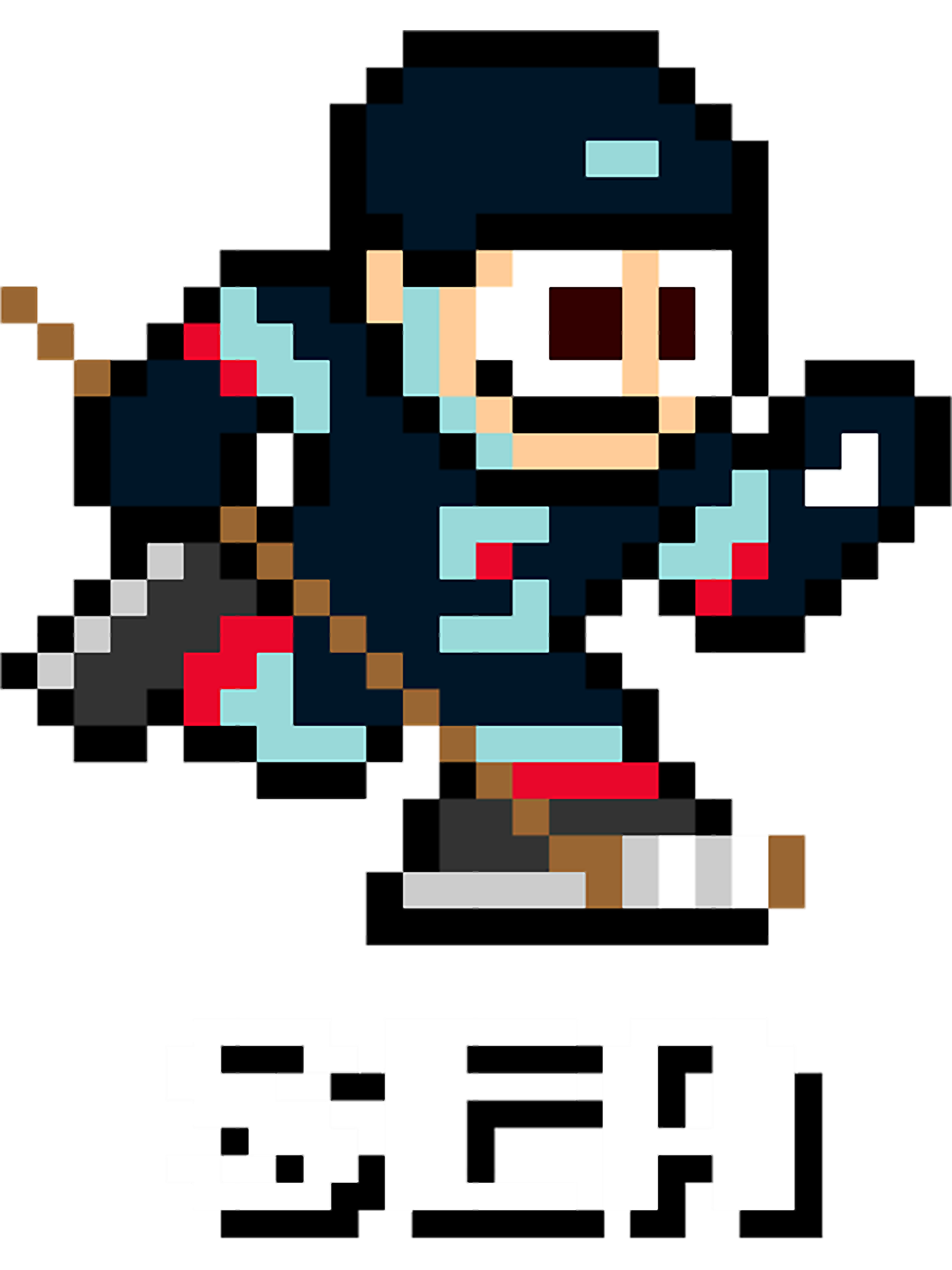 Seattle Kraken (8bit Retro Pixel Art Videogame Player) | Inspire Uplift