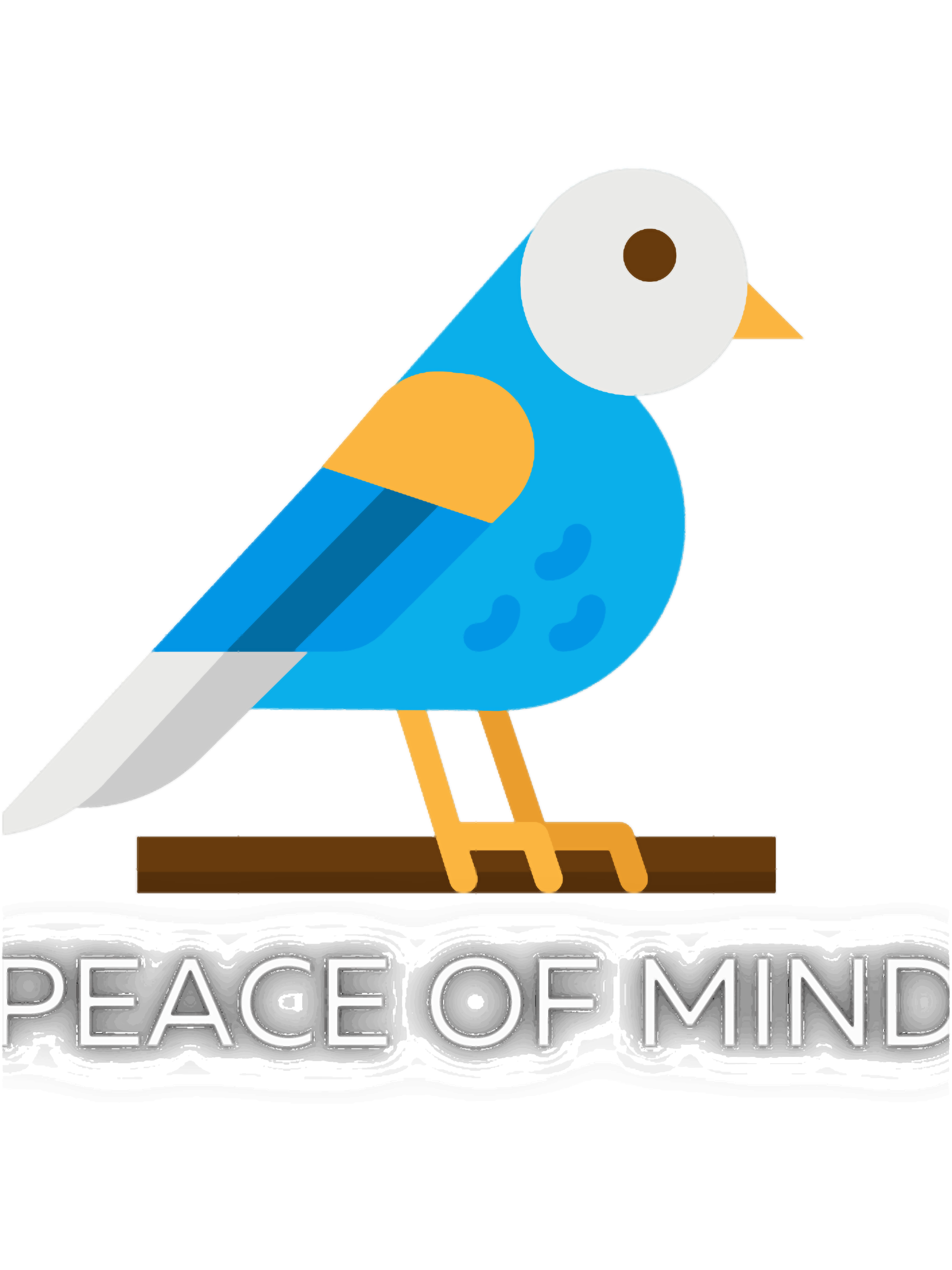 ZOO PALS COLOURFUL BIRD | Inspire Uplift