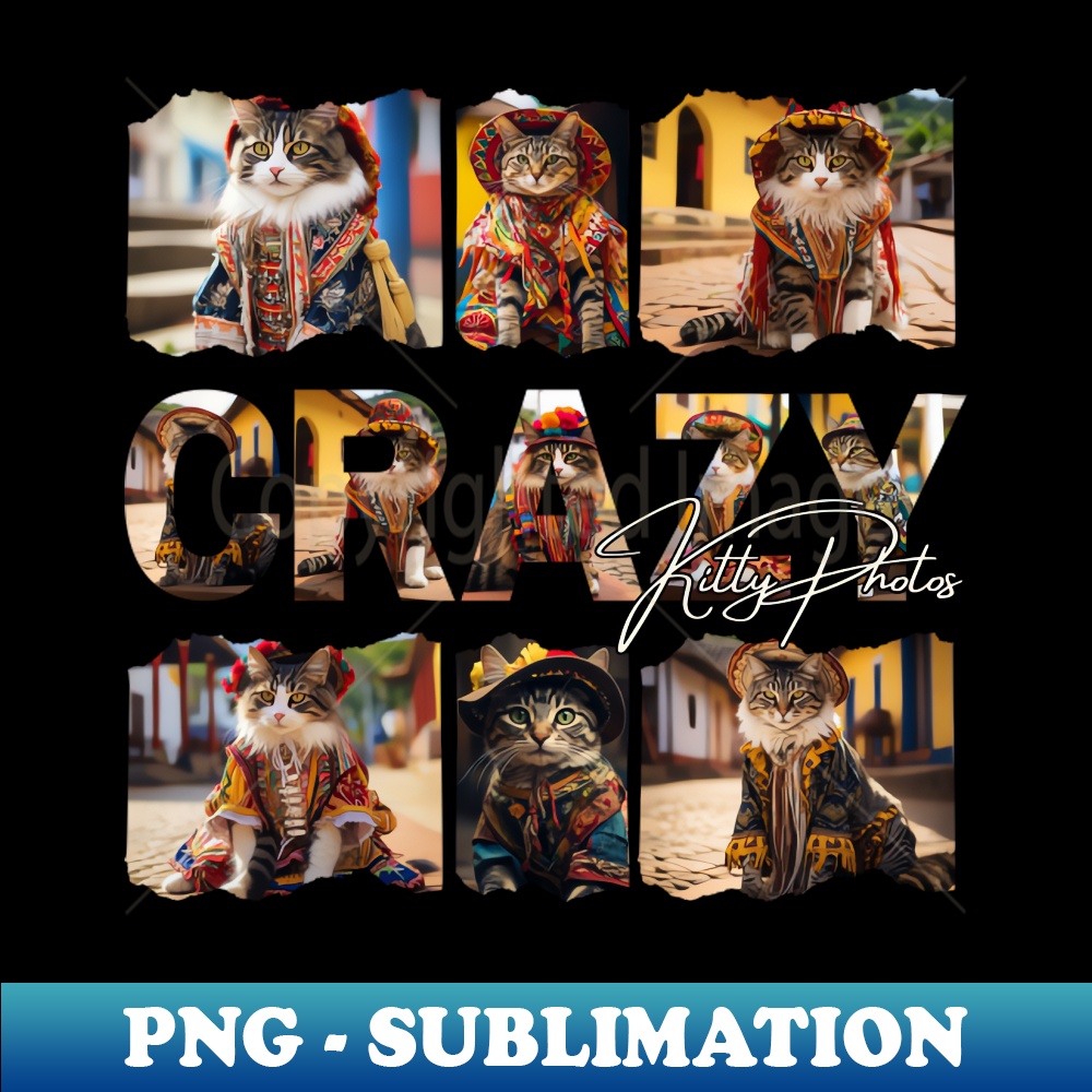 Crazy kitty photos with traditional costume - Artistic Subli | Inspire ...