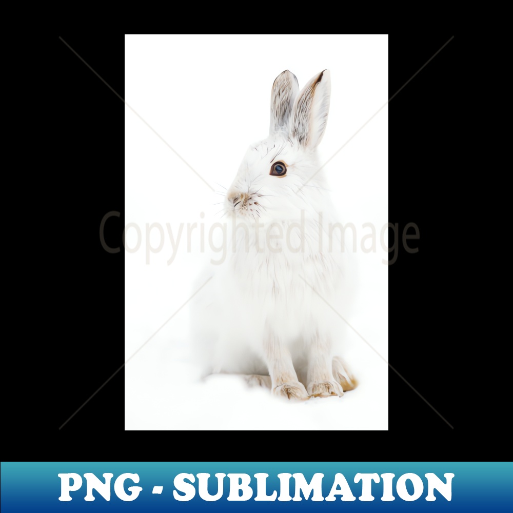 Snowshoe Hare - High-Resolution PNG Sublimation File - Unlea | Inspire ...