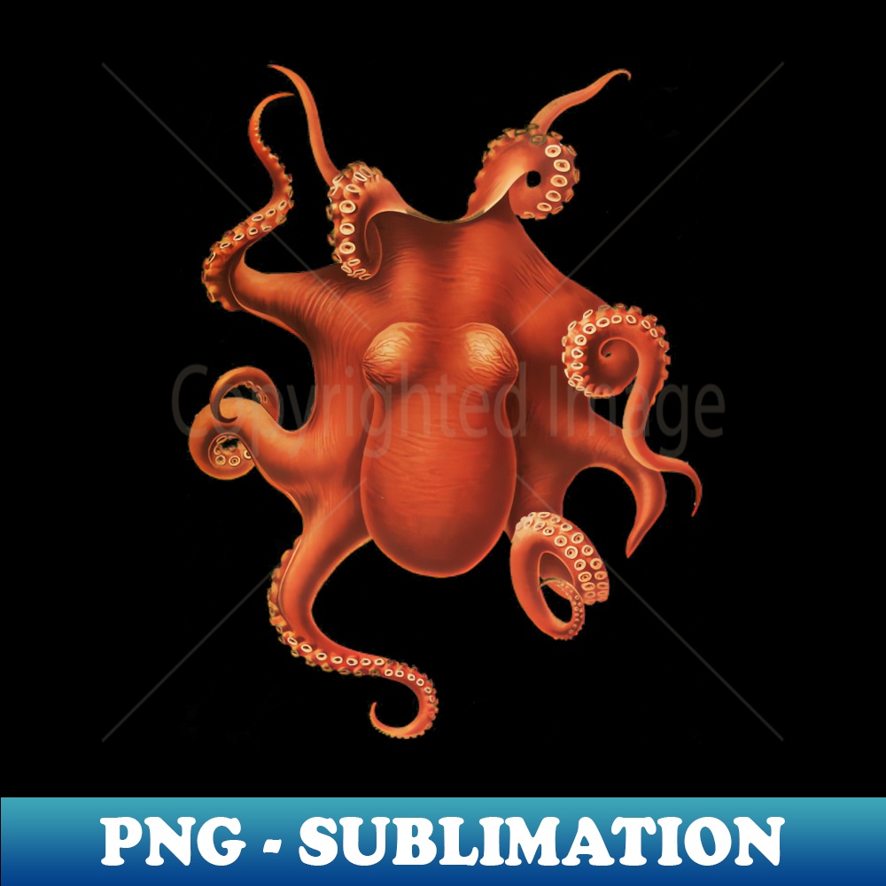 Deep Sea Octopus Vintage Marine Biology Natural History - Pr | Inspire ...