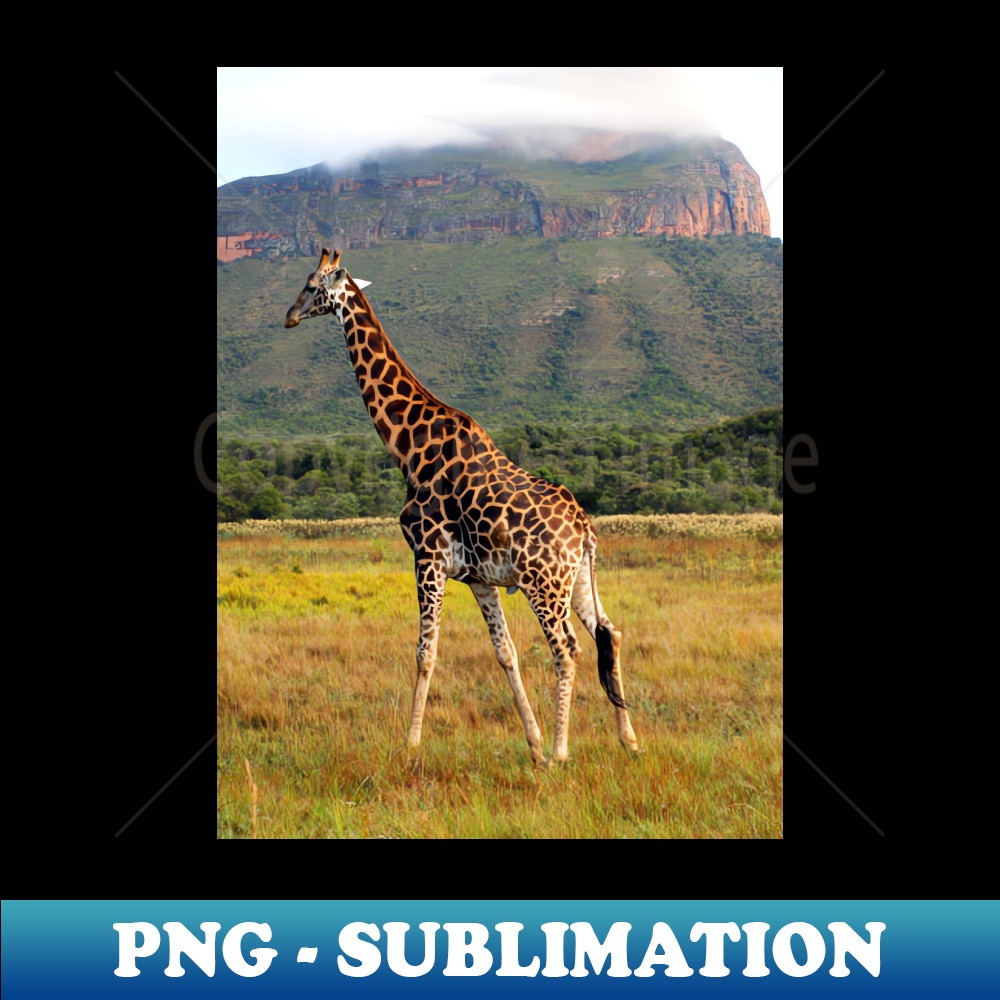 Giraffe Entabeni Lodge South Africa - Artistic Sublimation D | Inspire ...