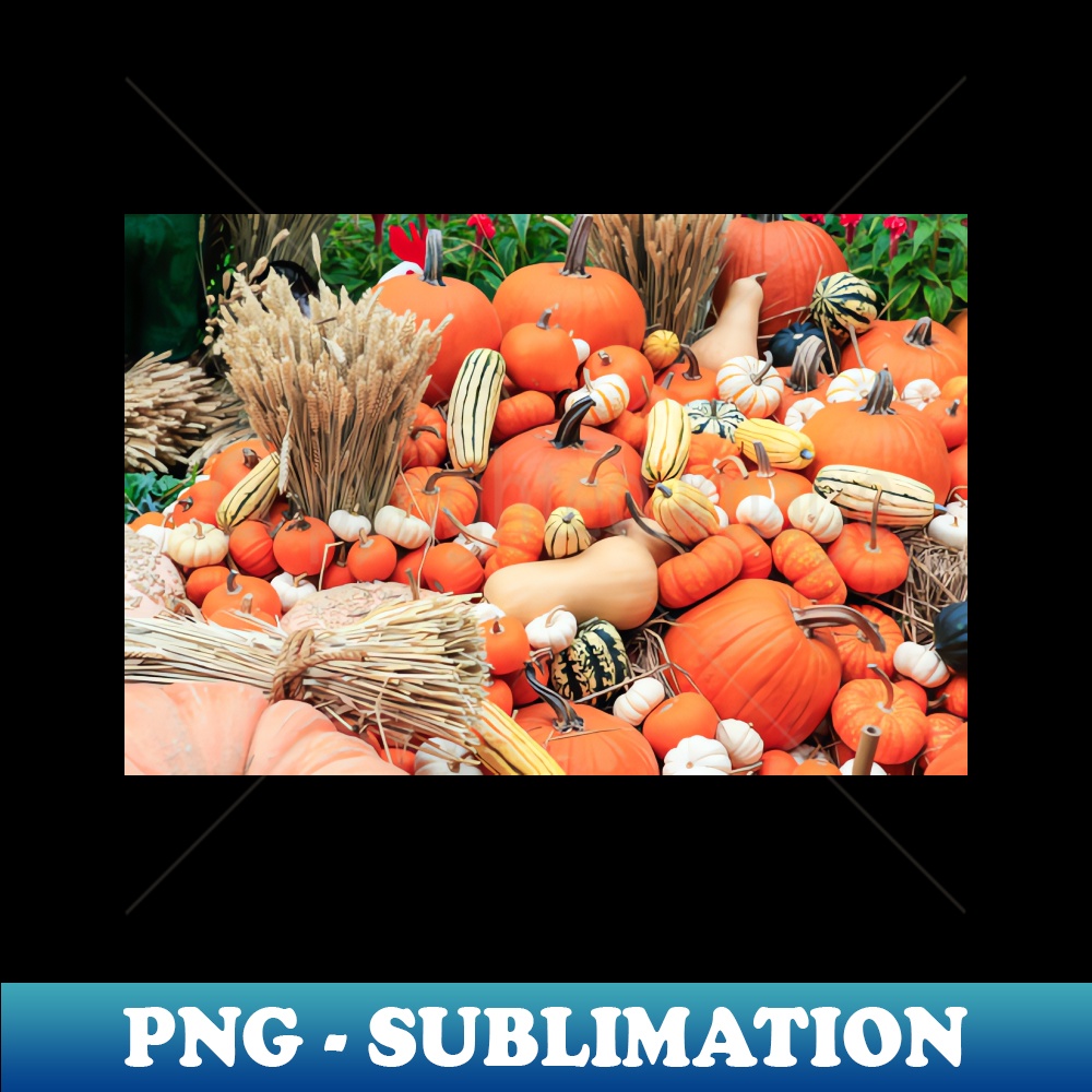Autumn Butternut Pumpkins Wheat Nature Photography - PNG Sub | Inspire ...