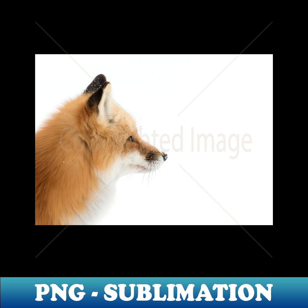 Red Fox profile - Algonquin Park - Exclusive PNG Sublimation - Inspire ...