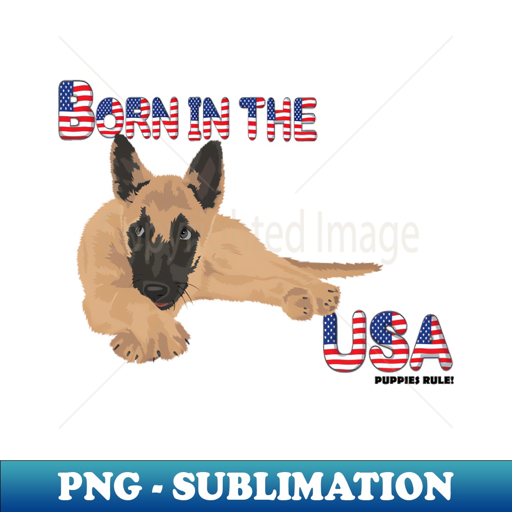 Belgian Malinois Puppy Dog Breed Born In The USA Puppies Ru | Inspire ...