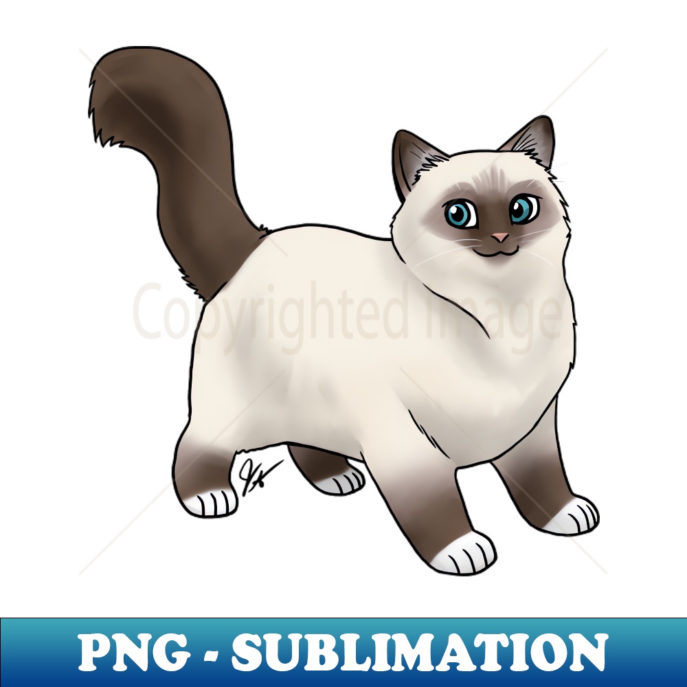 Cat - Birman - Chocolate Point - PNG Transparent Sublimation | Inspire ...