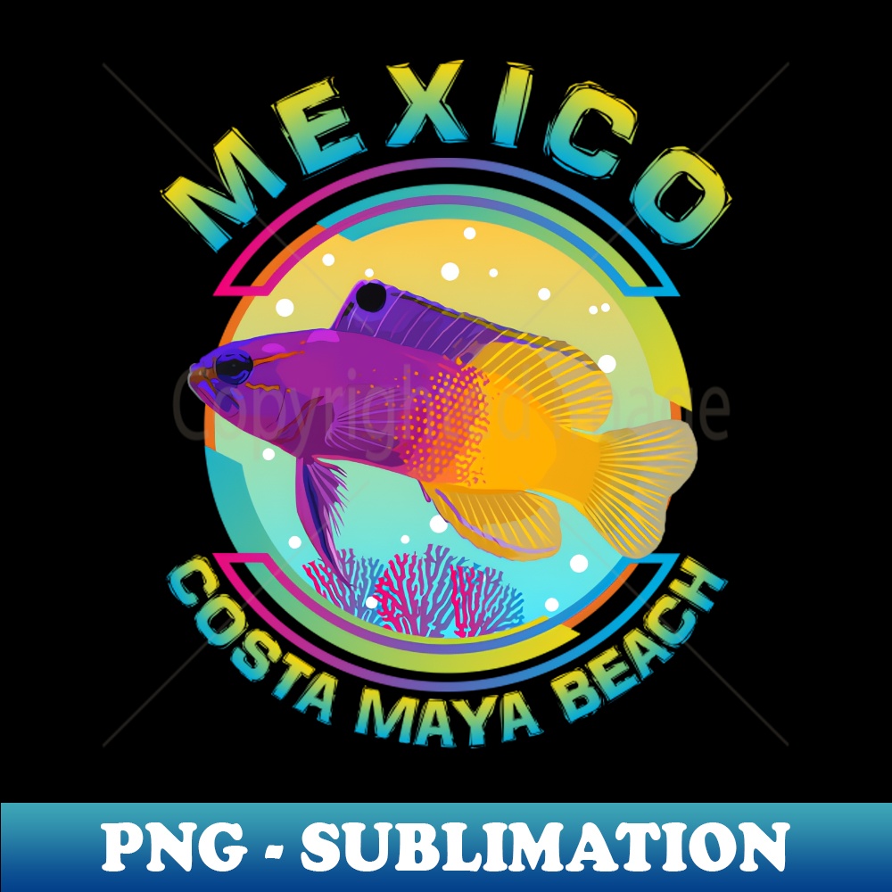 Mexico Costa Maya Beach Royal Gramma Fairy Basslet Fish - Pr | Inspire ...