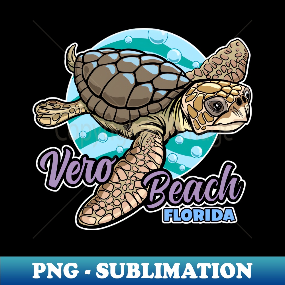 Loggerhead Sea Turtle Vero Beach Florida - Modern Sublimatio | Inspire ...