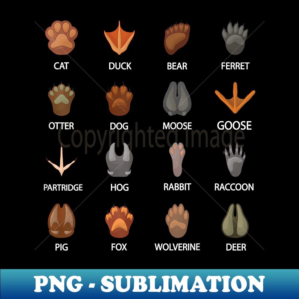 Animal Tracks Footprints Paws Nature Explorer Teacher - Subl | Inspire ...