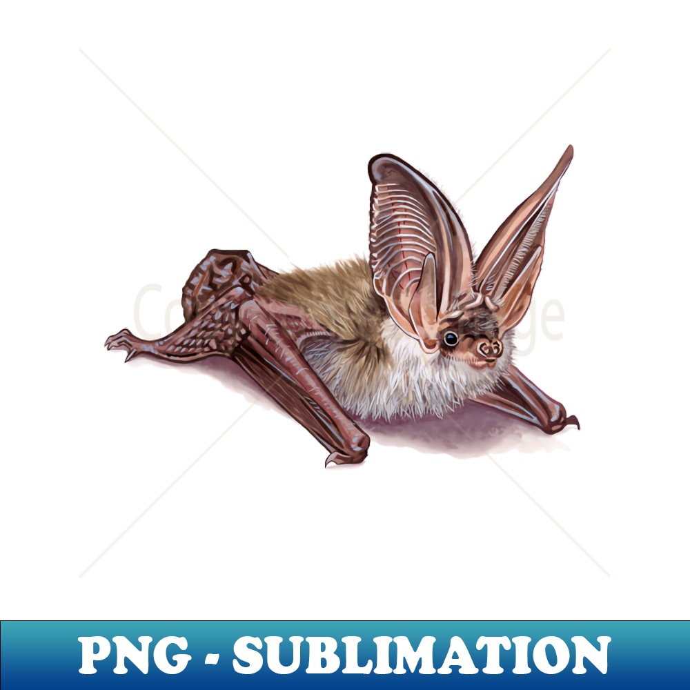 Grey long-eared bat - Sublimation-Ready PNG File - Stunning | Inspire ...