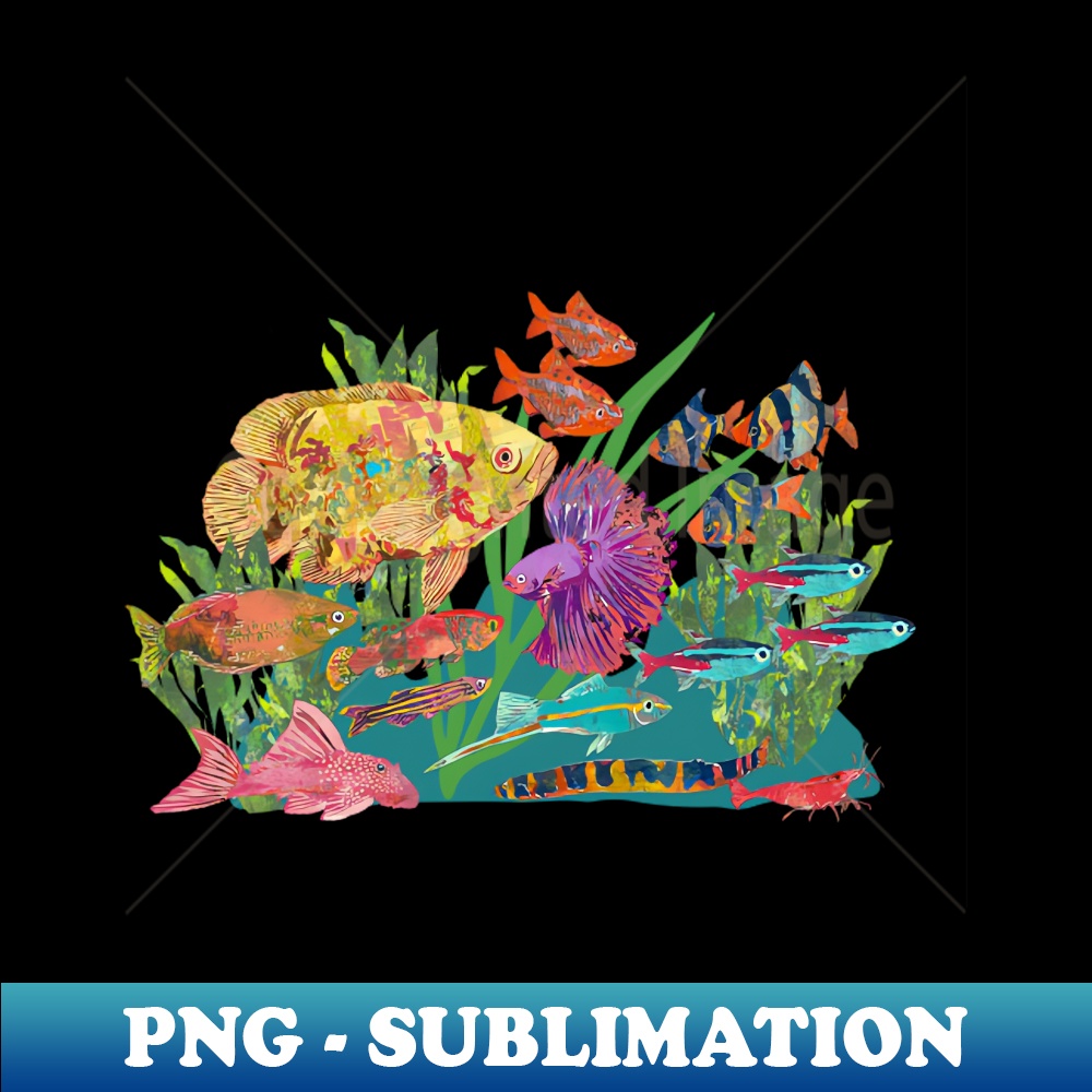 School of Colorful Tropical Freshwater Fish - PNG Transparen | Inspire ...