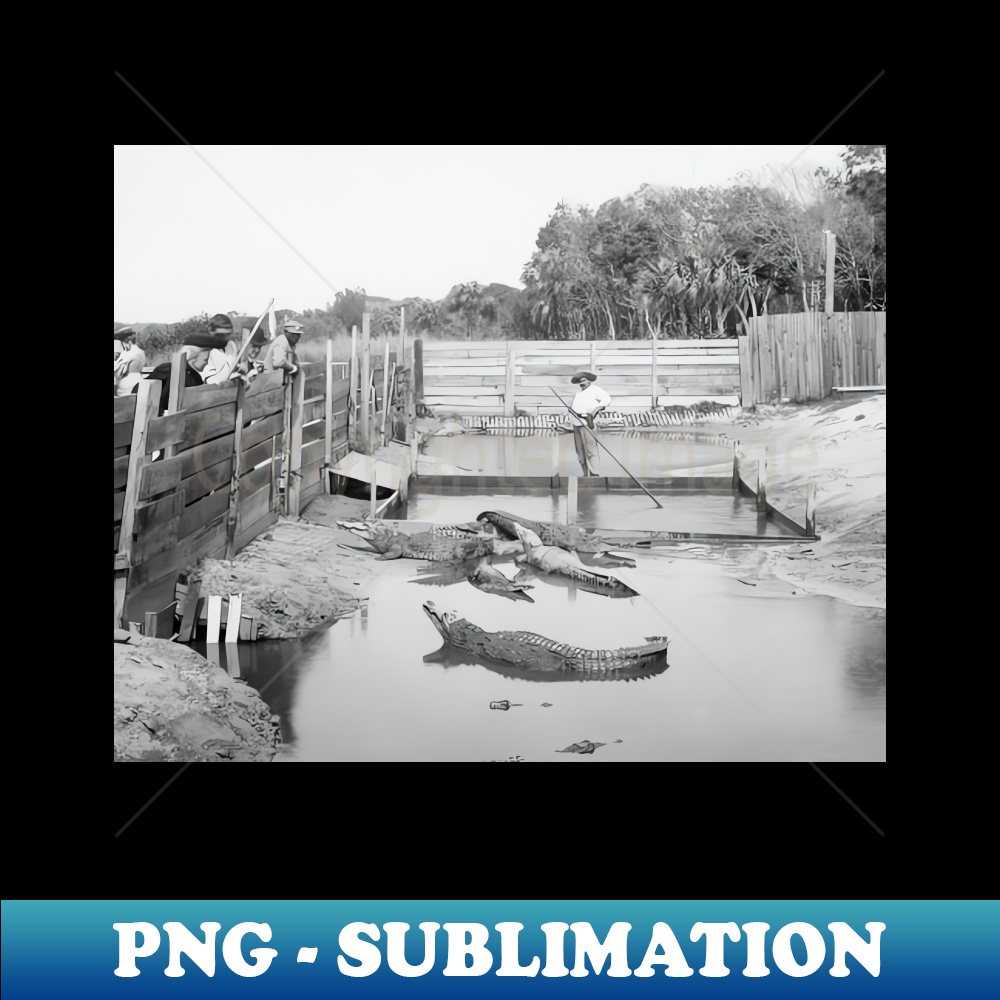Florida Alligator Show 1904 Vintage Photo - PNG Transparent | Inspire ...