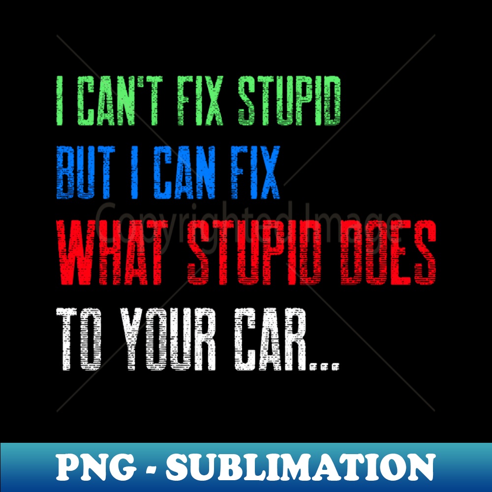 I cant fix stupid But I can fix what stupid does to your car | Inspire ...