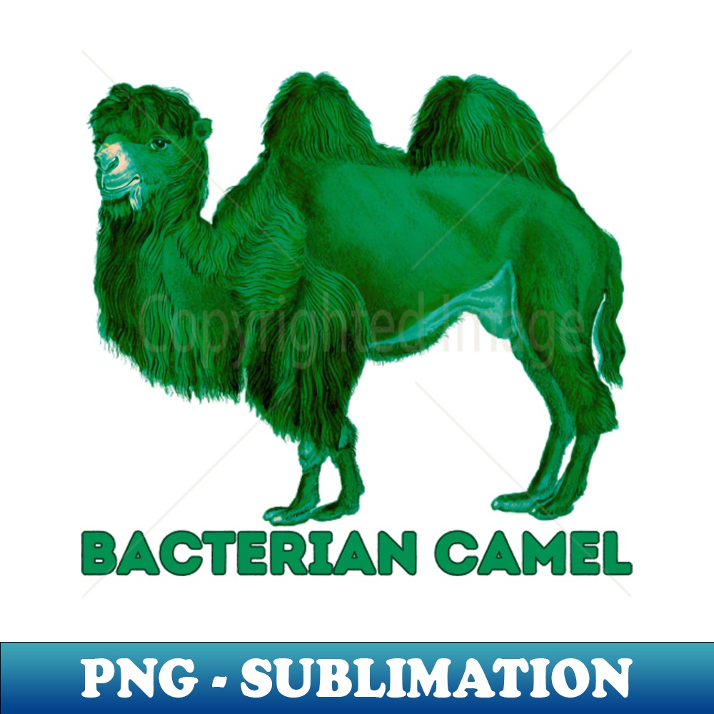 Bacterian Camel - Unique Sublimation PNG Download - Create w | Inspire ...