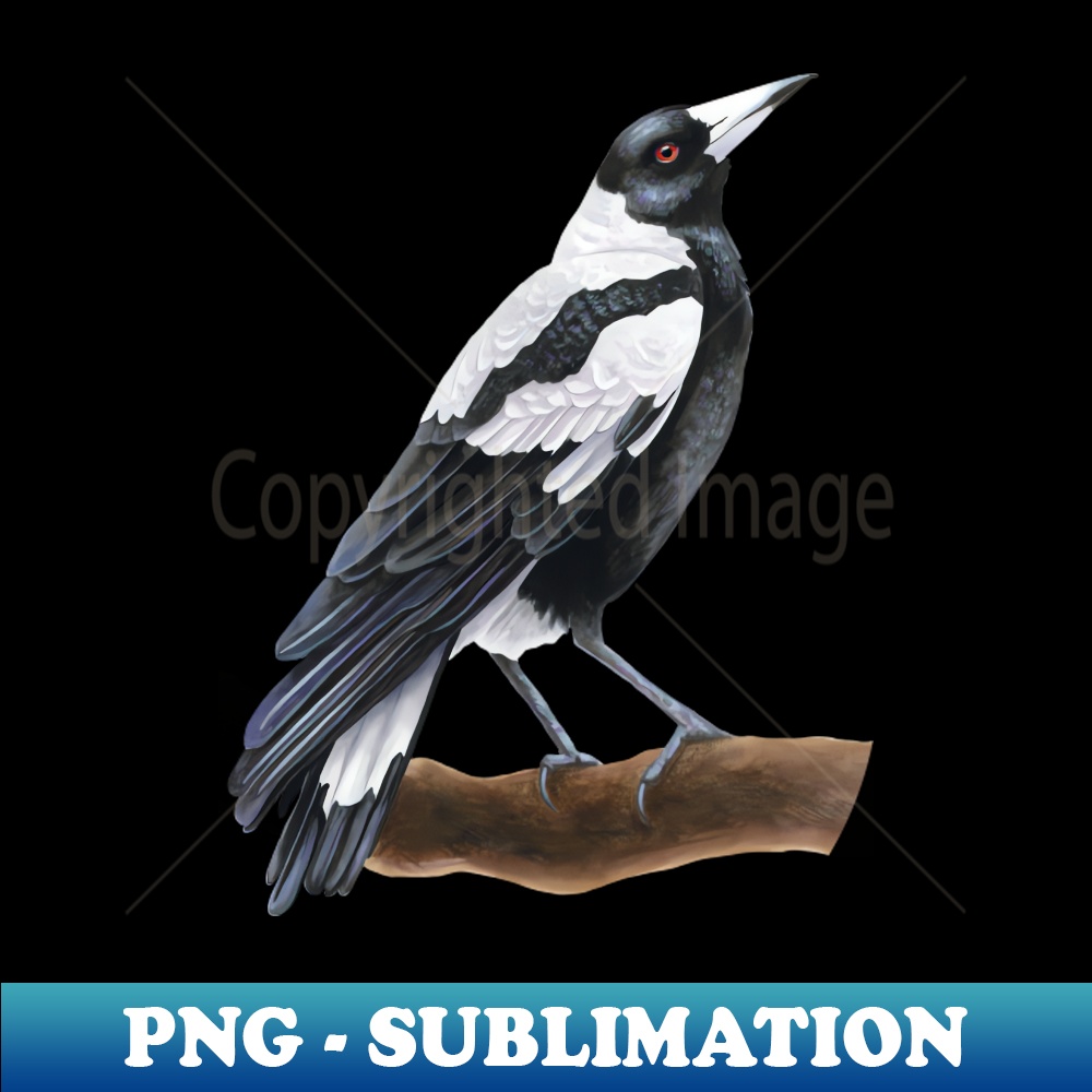 Australian Magpie - Special Edition Sublimation PNG File - D | Inspire ...