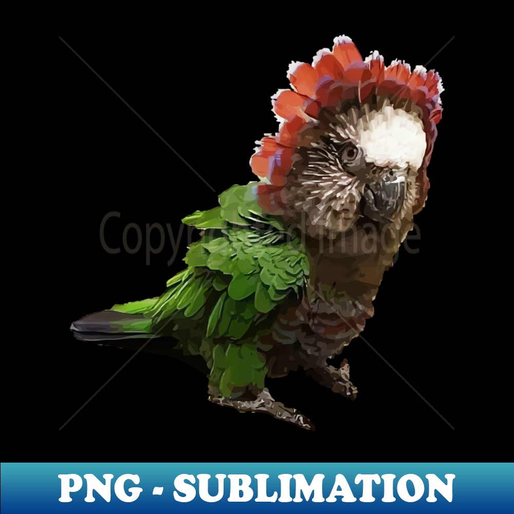 Chief - Digital Sublimation Download File - Stunning Sublima | Inspire Uplift