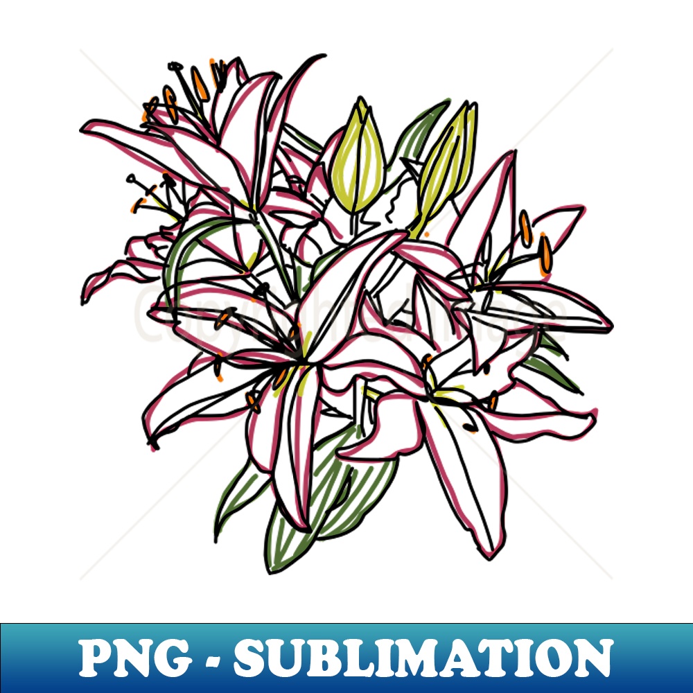 Lily Flowers Color Line Drawing - Unique Sublimation PNG Dow | Inspire ...