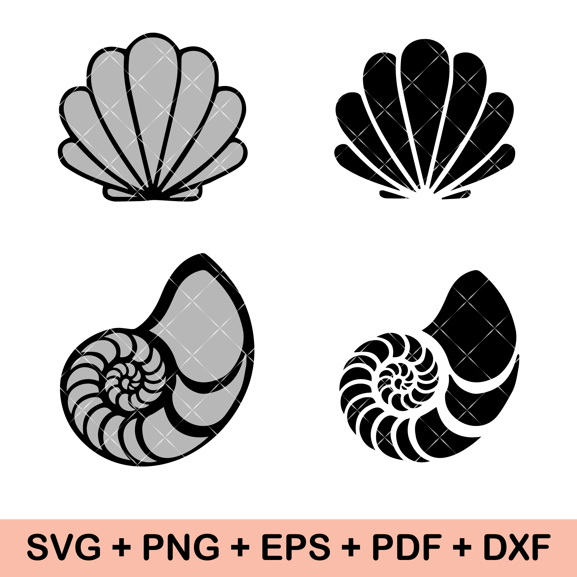 Seashell SVG Bundle, Seashell PNG Bundle, Seashell Clipart, | Inspire ...
