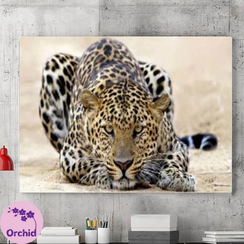Lying Leopard Print Canvas Wall Art, Leopard Print Mural, An | Inspire ...
